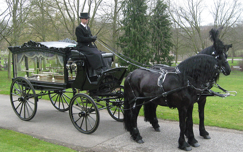 Offices - Epping | Daniel Robinson & Sons